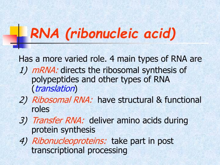 Structure And Functions Of Three Major Types Of Ribonucleic Acid Rna Images And Photos Finder