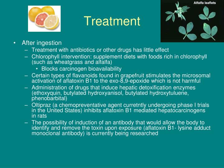 Ppt Aflatoxin B1 Powerpoint Presentation Id 3851757