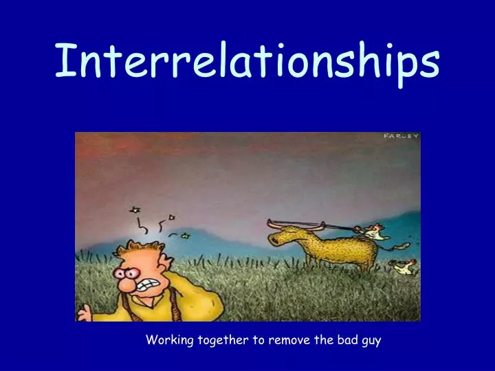 PPT - Interrelationships PowerPoint Presentation - ID:4646280 PPT - Interrelationships PowerPoint Presentation - ID:4646280