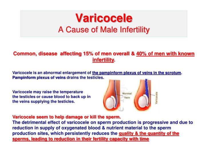 Ppt Biochemical Aspects Of Male And Female Subfertility Infertility
