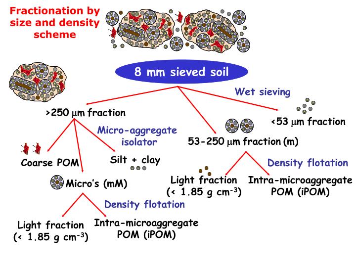 PPT - Detecting changes in soil C pools and dynamics by means of stable ...