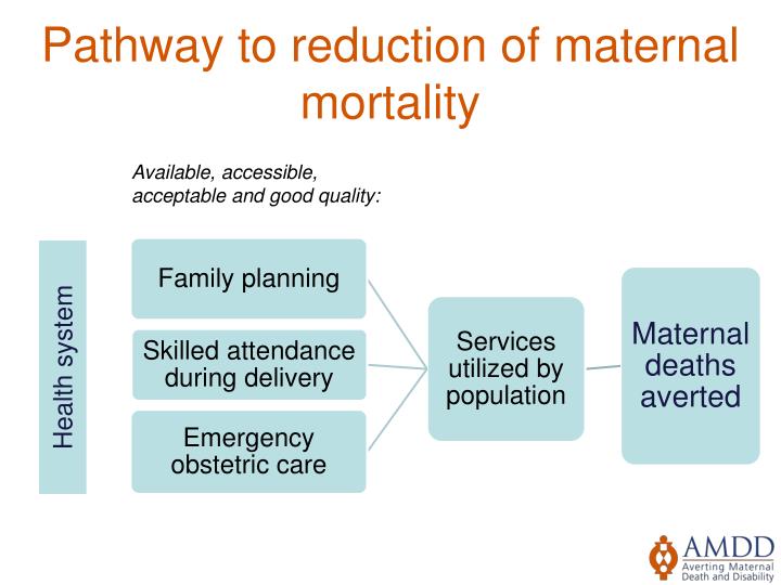 PPT - Pathway to reduction of maternal mortality PowerPoint ...
