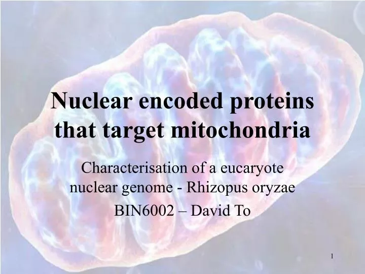 PPT - Nuclear encoded proteins that target mitochondria PowerPoint ...