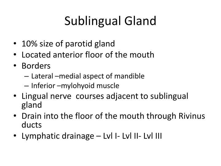 PPT - Salivary Gland Tumors PowerPoint Presentation - ID:3607989