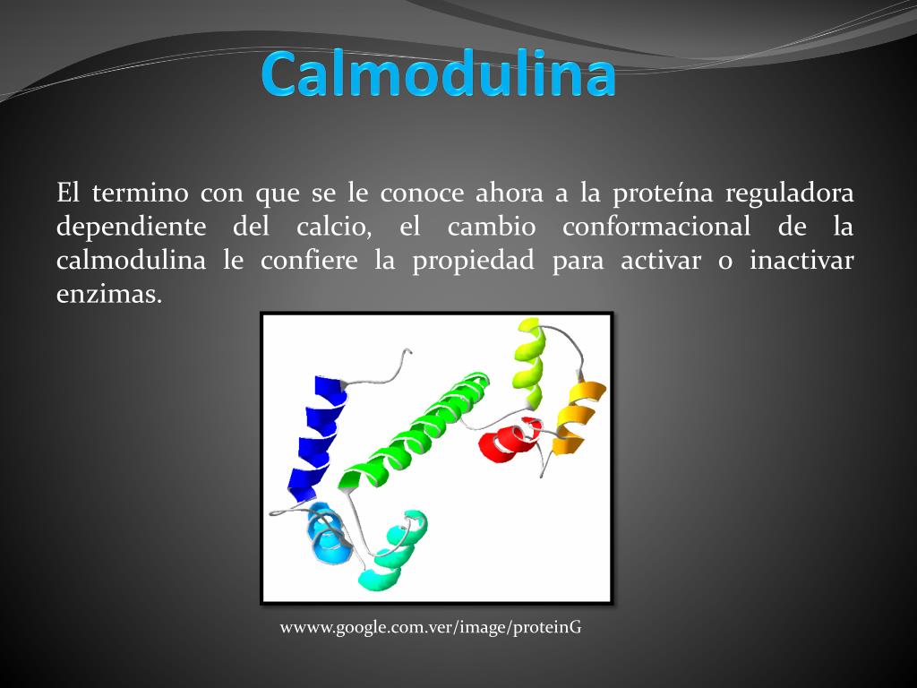 PPT - Regulación del Metabolismo PowerPoint Presentation, free download ...