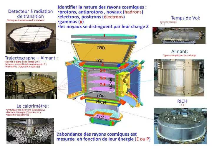 PPT - TRD PowerPoint Presentation, free download - ID:3612044