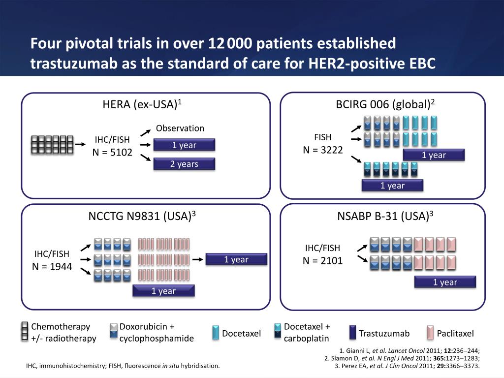 PPT - Optimizing Treatment for Her 2 Positive Early Stage Breast Cancer ...