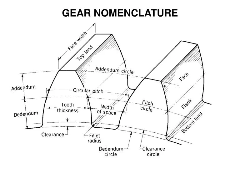 PPT GEAR NOMENCLATURE PowerPoint Presentation Free Download ID 3614671 PPT GEAR NOMENCLATURE PowerPoint Presentation Free Download ID 3614671