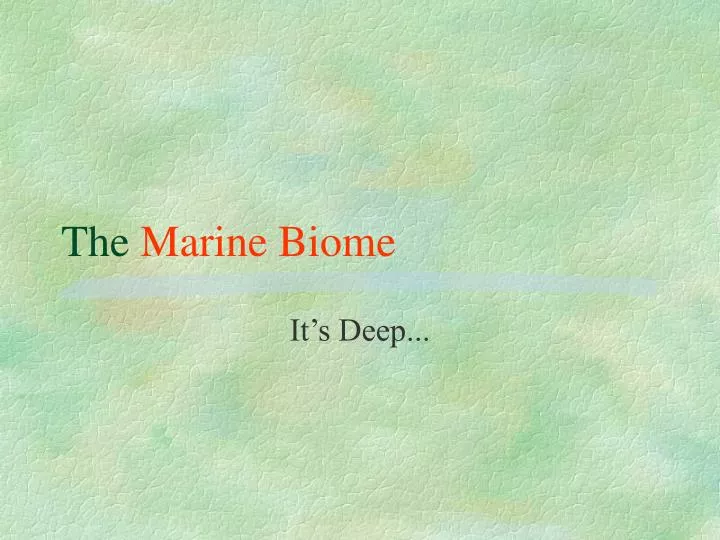PPT - The Marine Biome PowerPoint Presentation, free download - ID:3616806