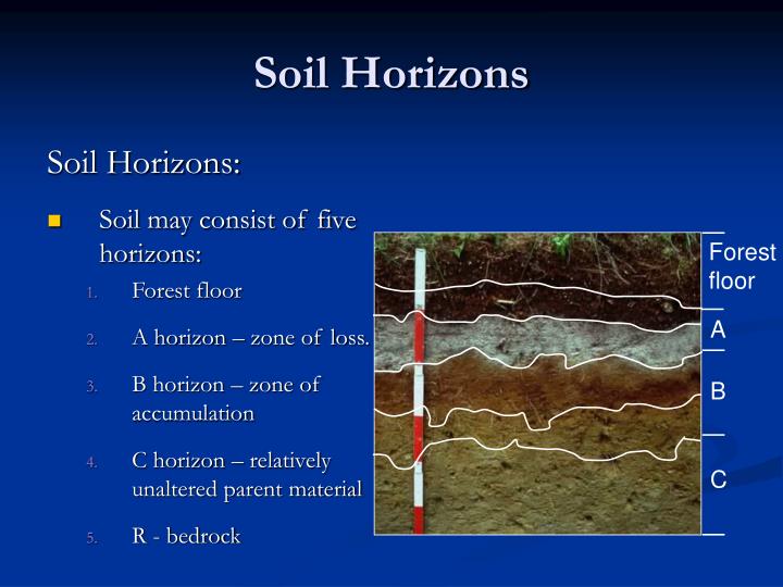 PPT - Introduction to Soil Science PowerPoint Presentation - ID:3616847