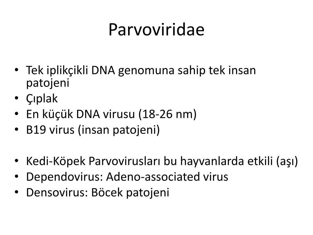 PPT - Adenovirus Parvoviruslar PowerPoint Presentation, free download ...