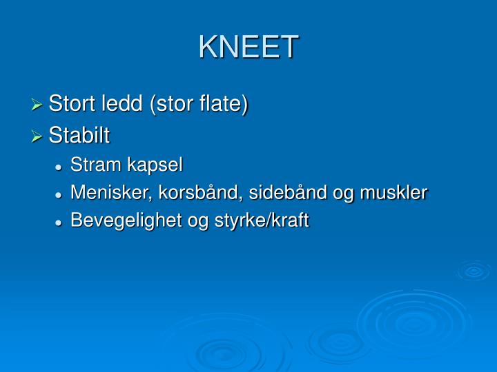 PPT - ANATOMI PowerPoint Presentation - ID:3621733