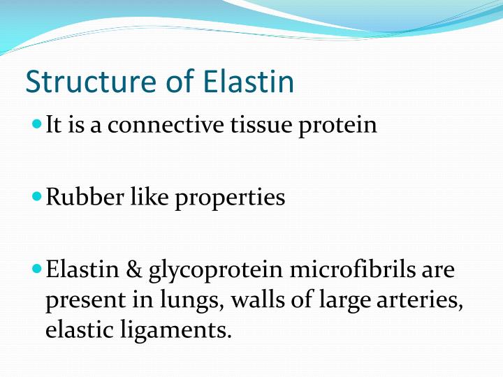 PPT - ELASTIN PowerPoint Presentation - ID:3622801
