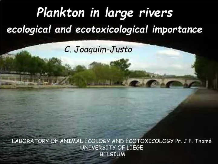 PPT - Plankton in large rivers ecological and ecotoxicological ...