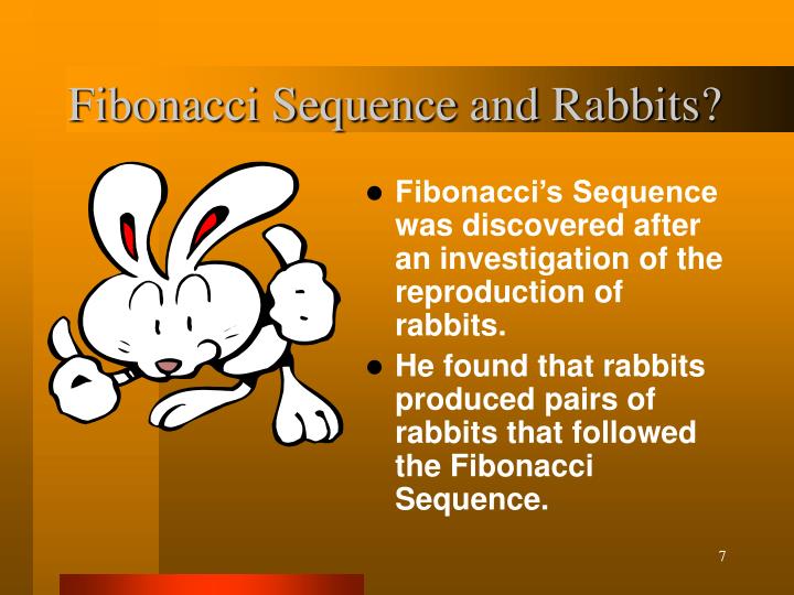 PPT - Leonardo Fibonacci PowerPoint Presentation - ID:3623122