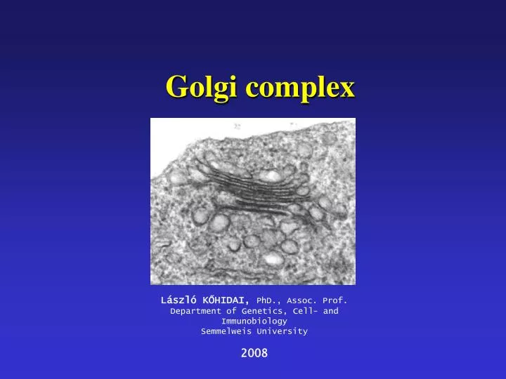 PPT - Golgi complex PowerPoint Presentation, free download - ID:3623131