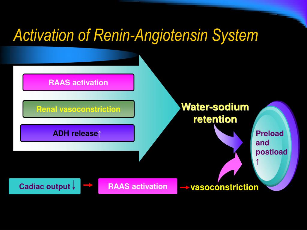 PPT - Neurohormonal Activation especially AVP in Congestive Heart ... PPT - Neurohormonal Activation especially AVP in Congestive Heart ...