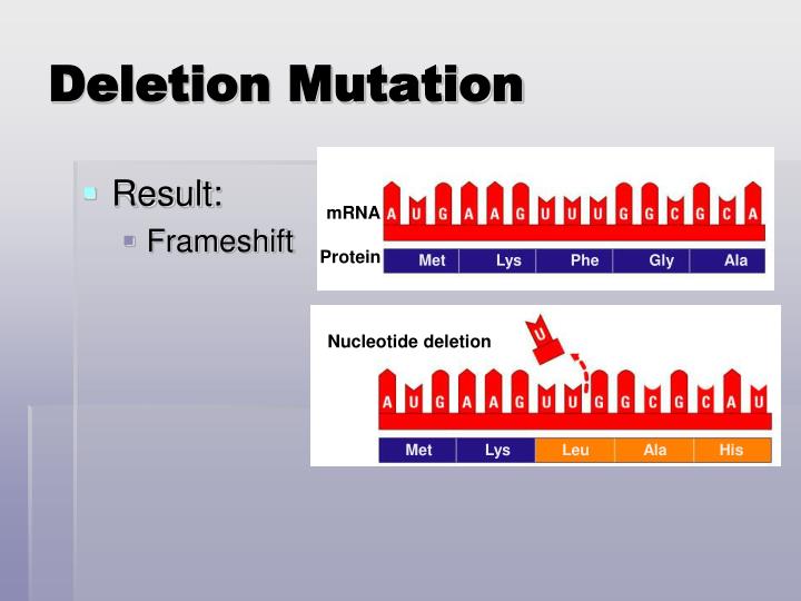 PPT - Mutations PowerPoint Presentation - ID:3623802