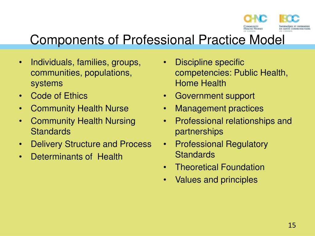 PPT - Canadian Community Health Nursing Standards of Practice (CCHN ...