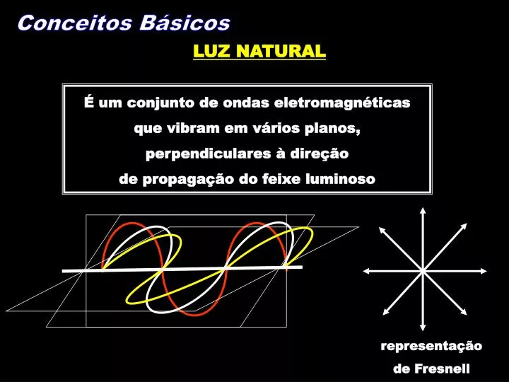 PPT - Conceitos Básicos PowerPoint Presentation, free download - ID:3624737