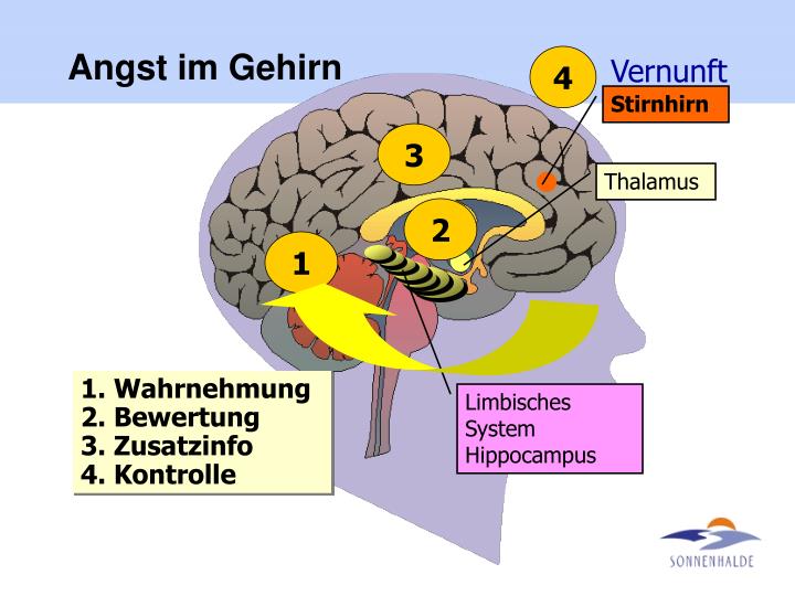 PPT - Umgang mit der Angst Wege zur Gelassenheit PowerPoint ...