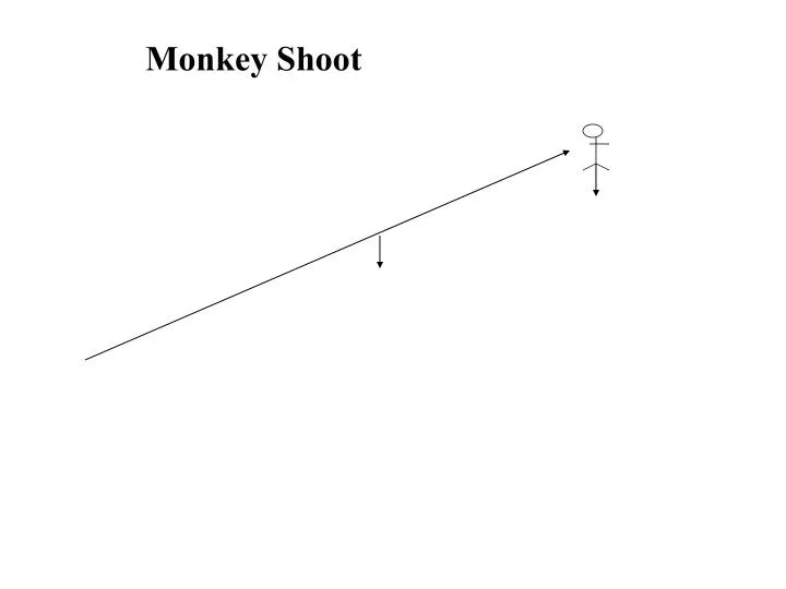 PPT - Monkey Shoot PowerPoint Presentation, free download - ID:3626495
