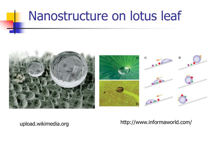 PPT - Nanotechnology and Environmental Protection I. Introduction ...
