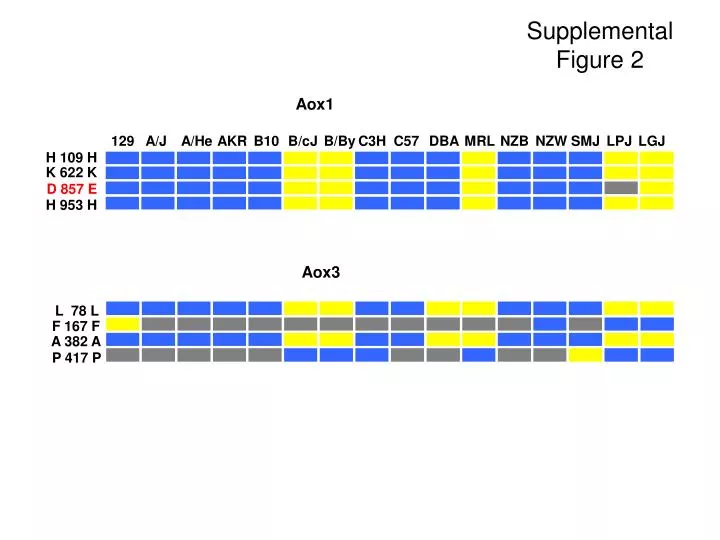 PPT - Aox1 PowerPoint Presentation, free download - ID:3629266