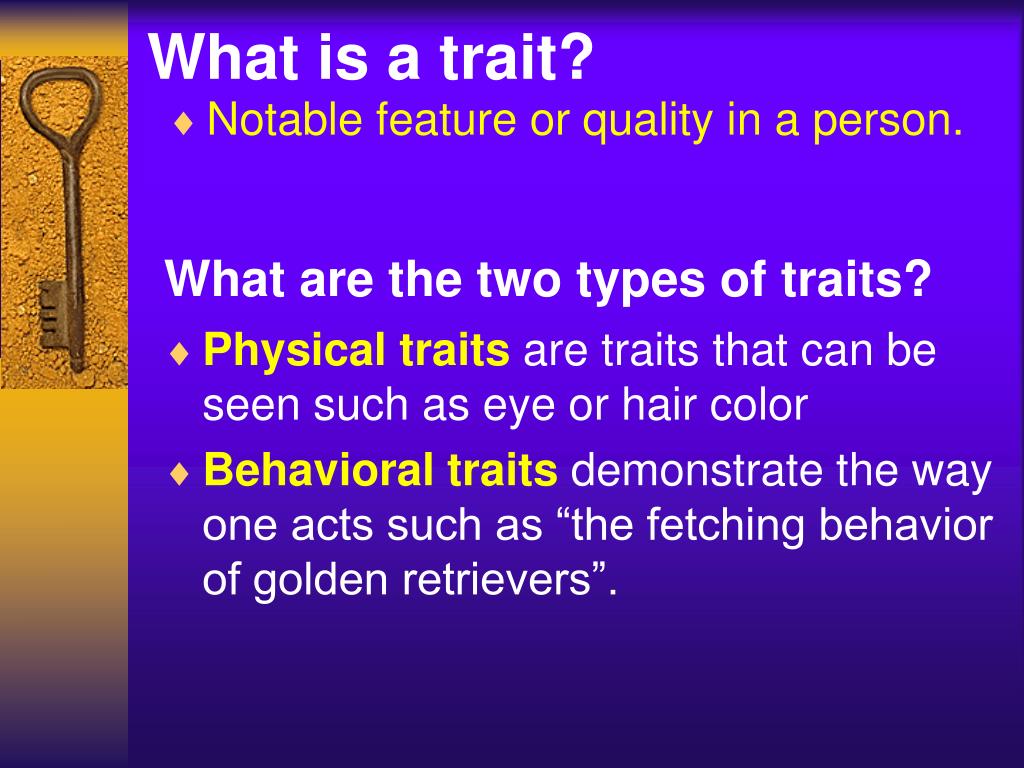 PPT - Genes & Alleles Genotype & Phenotype Homozygous & Heterozygous ...