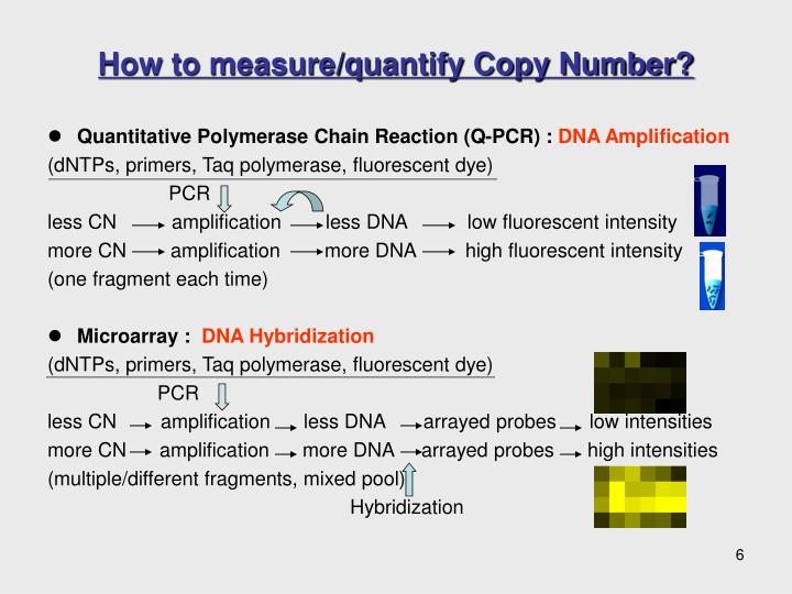 PPT - DNA Copy Number Analysis PowerPoint Presentation - ID:3630979
