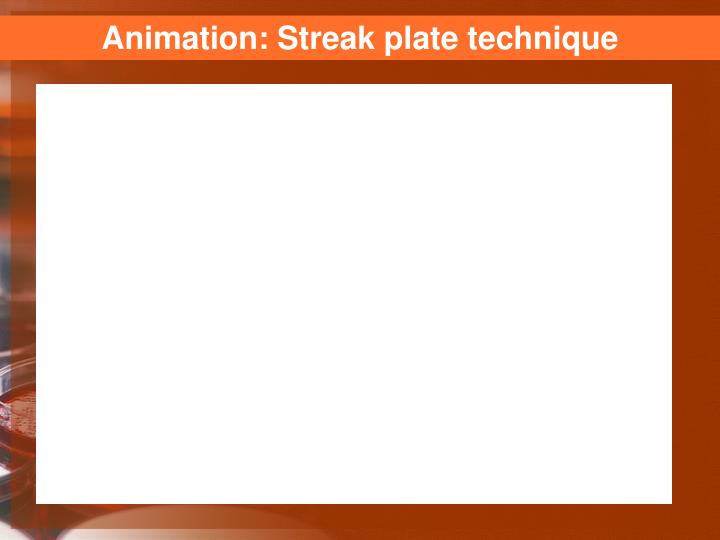 PPT - Microbial Nutrition PowerPoint Presentation - ID:3631690
