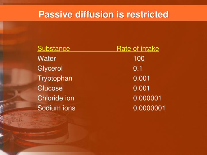 PPT - Microbial Nutrition PowerPoint Presentation - ID:3631690