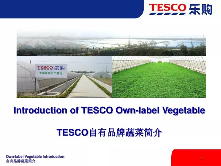 PPT - Introduction of TESCO Own-label Vegetable TESCO 自有品牌蔬菜简介 ...