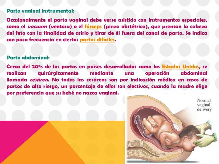 PPT - El parto PowerPoint Presentation - ID:3632179