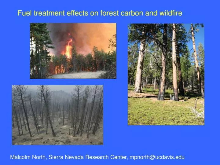 PPT - Fuel treatment effects on forest carbon and wildfire PowerPoint ...