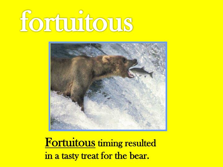 PPT - fortuitous : adjective PowerPoint Presentation - ID:3637652