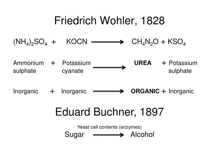 PPT - Friedrich Wohler, 1828 PowerPoint Presentation, free download ...