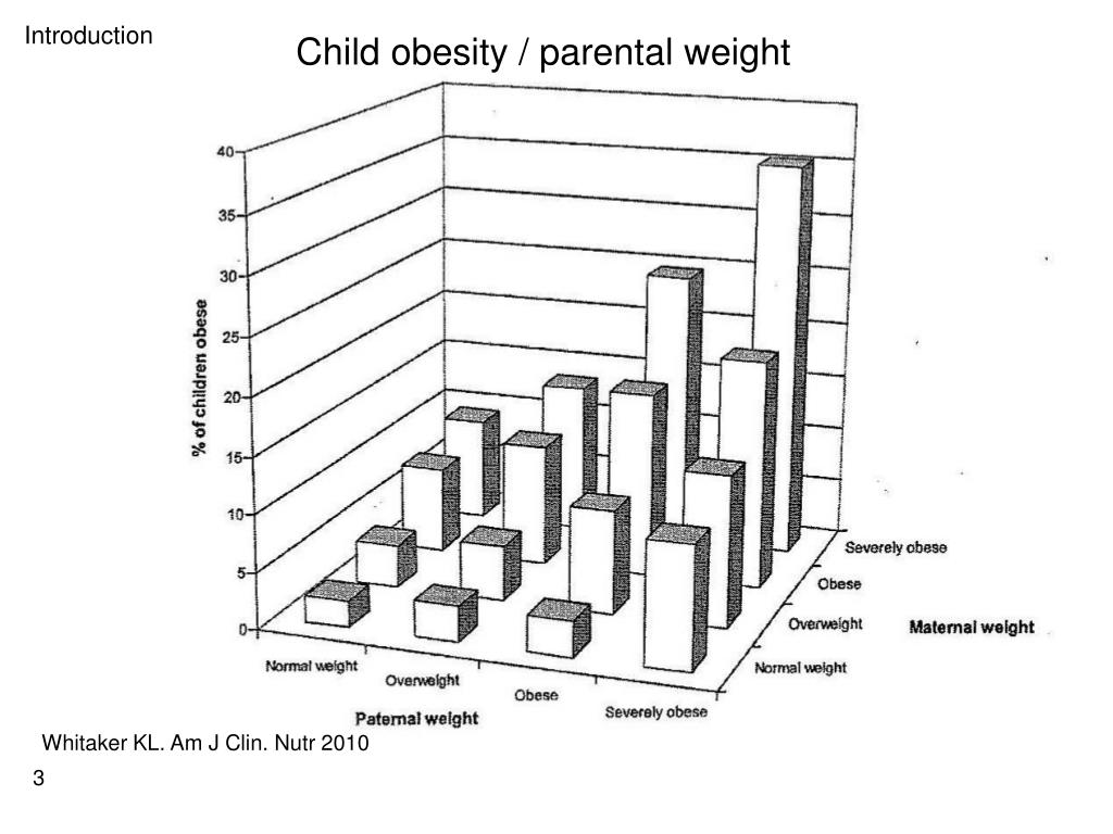PPT - Research on Severe Obesity in Children from Bariatric Mothers ...