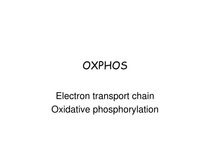 PPT - OXPHOS PowerPoint Presentation, free download - ID:3640114