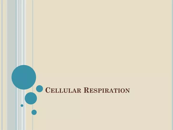 PPT - Cellular Respiration PowerPoint Presentation, free download - ID ...