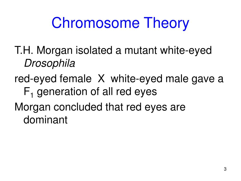 Ppt Chromosomes Mapping And The Meiosis Inheritance Connection