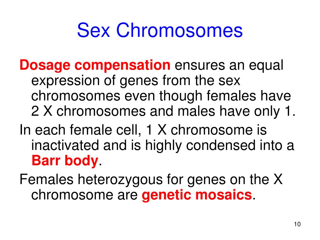Ppt Chromosomes Mapping And The Meiosis Inheritance Connection