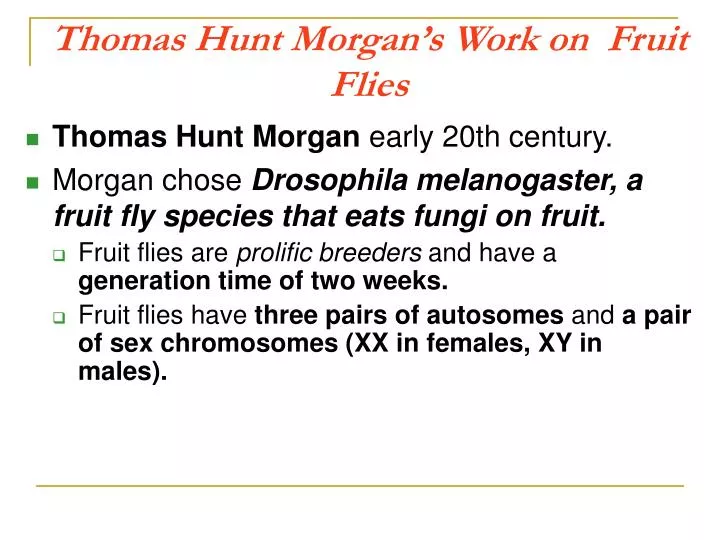 PPT - Thomas Hunt Morgan’s Work on Fruit Flies PowerPoint Presentation ...