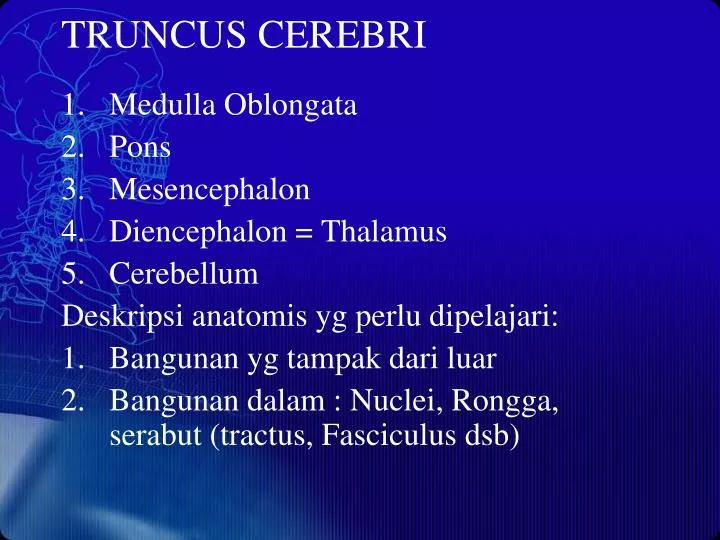 PPT - TRUNCUS CEREBRI PowerPoint Presentation, free download - ID:3642051