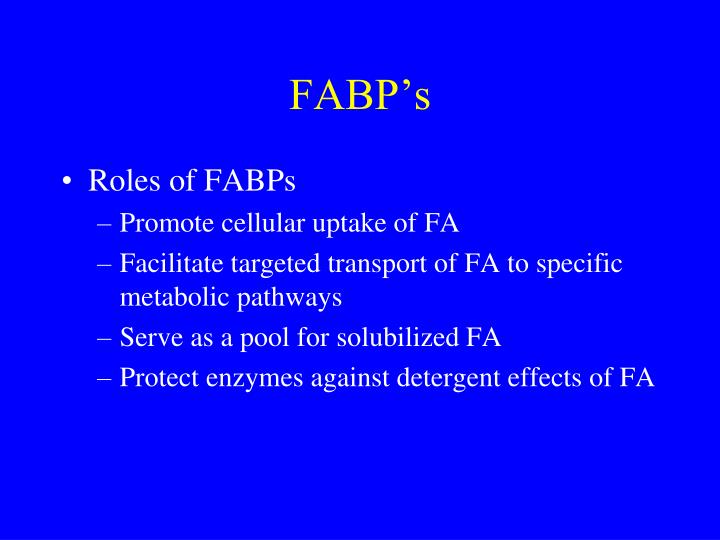PPT - Lipid metabolism PowerPoint Presentation - ID:3642827