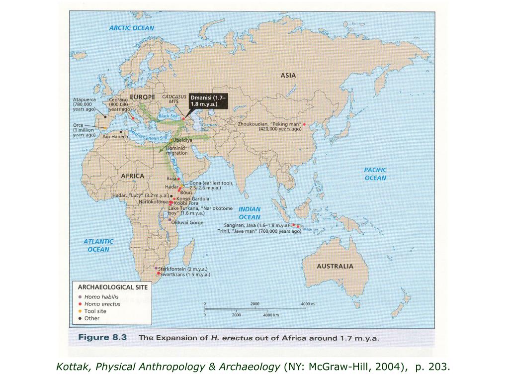 Ppt Migrations Out Of Africa Powerpoint Presentation Free Download