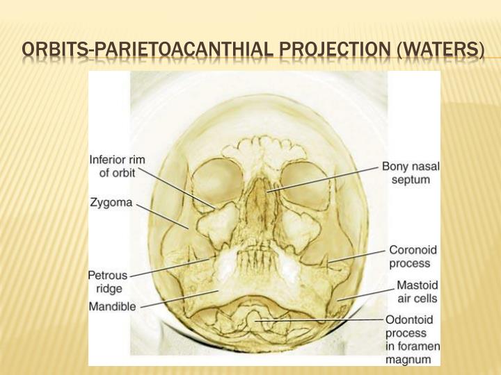 PPT - ORBITS PowerPoint Presentation - ID:3645605