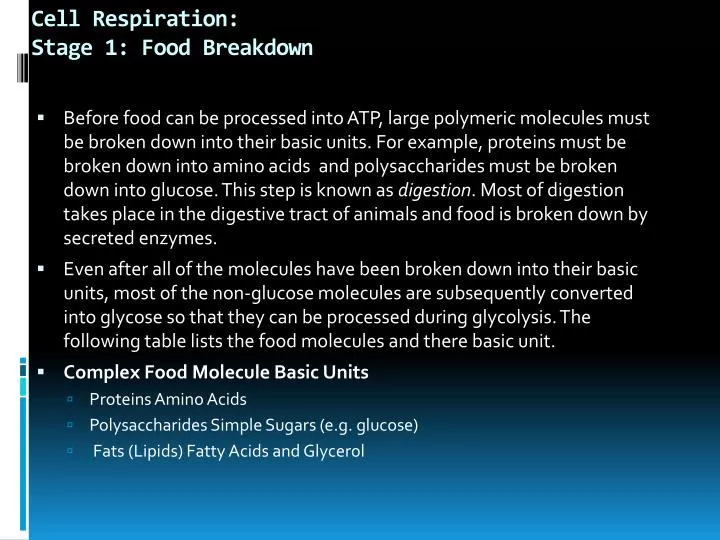 PPT - Cell Respiration: Stage 1: Food Breakdown PowerPoint Presentation ...