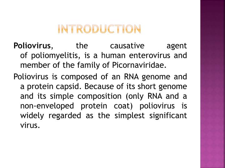 PPT - POLIO VIRUS PowerPoint Presentation - ID:3648767