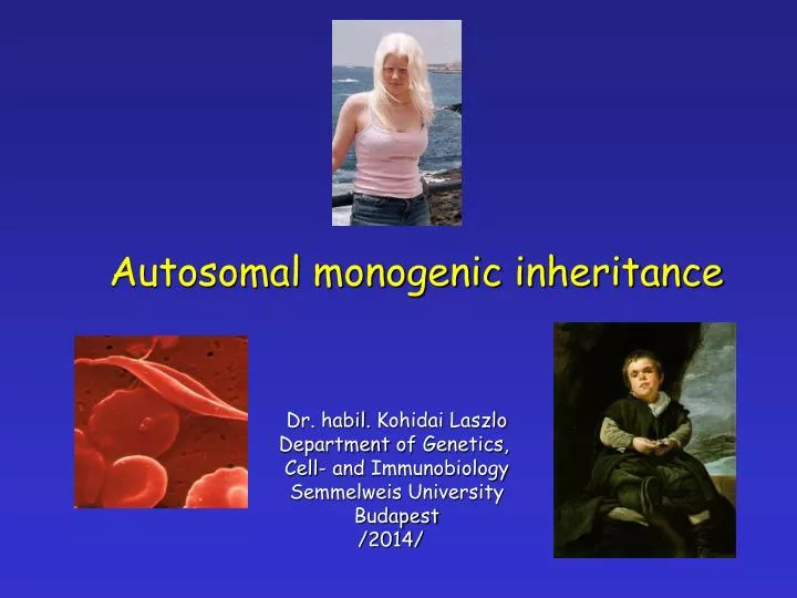 PPT - Autosomal monogenic inheritance PowerPoint Presentation, free ...